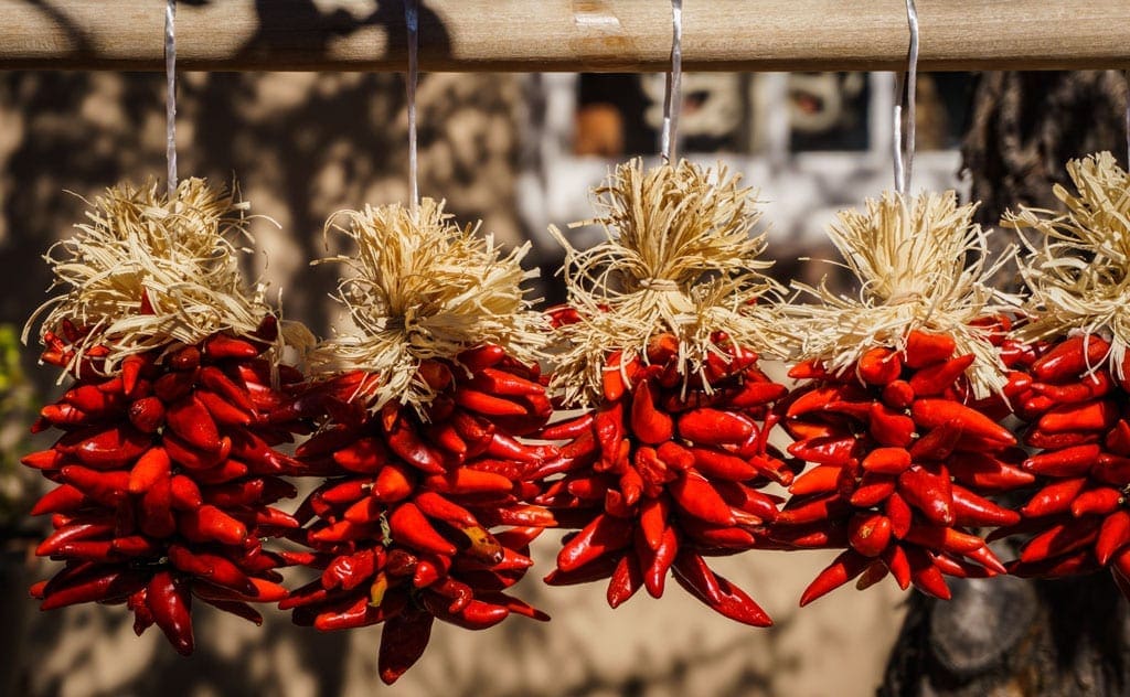 New Mexico Road Trip: UFOs, Ghost Towns & Music - Travel Begins at 40