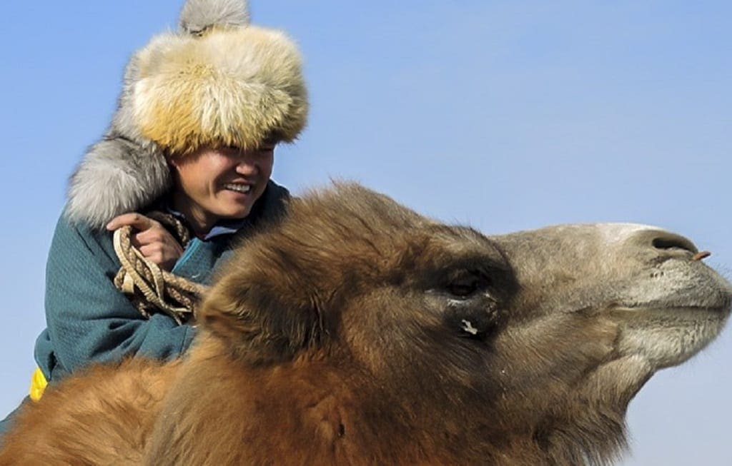 Camel Festival Mongolia 2022 (Temeenii Bayar) - Travel Begins at 40