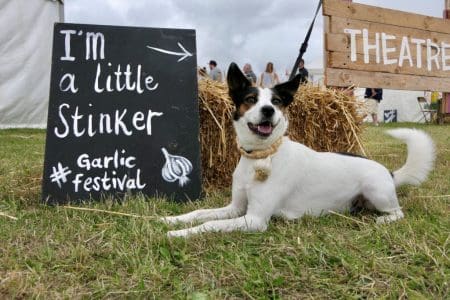 Isle of Wight Garlic Festival 2025 - Travel Begins at 40