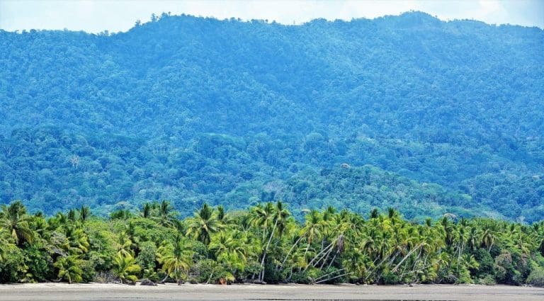 Costa Rica Whale Watching - Ballena National Park - Travel Begins at 40