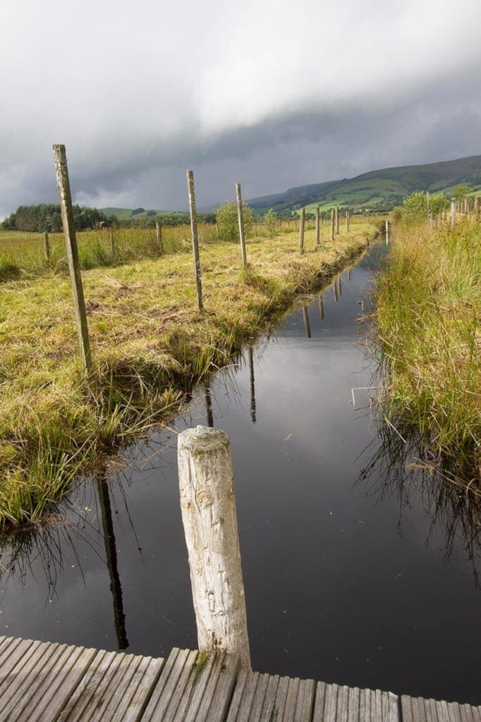 World Bog Snorkelling Championship, Wales - Travel Begins at 40