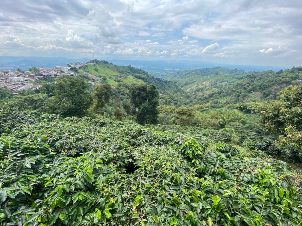 Tasting the Colombia Coffee Region - Travel Begins at 40