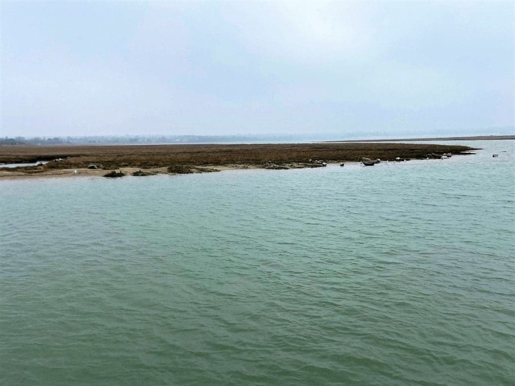 5 Regenerating Things to Do in Sandwich - Travel Begins at 40