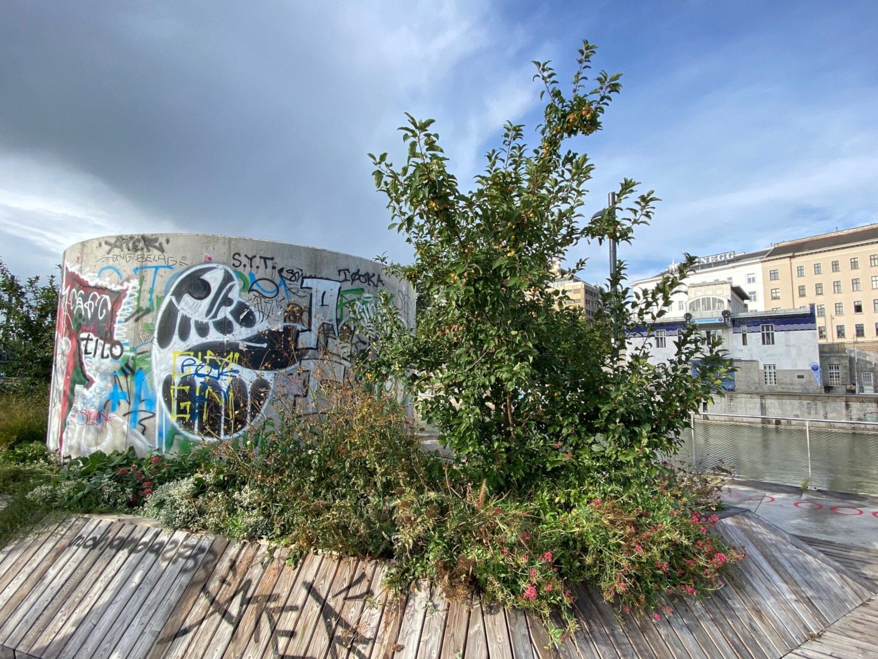 Sustainable Things To Do in Vienna - Travel Begins at 40