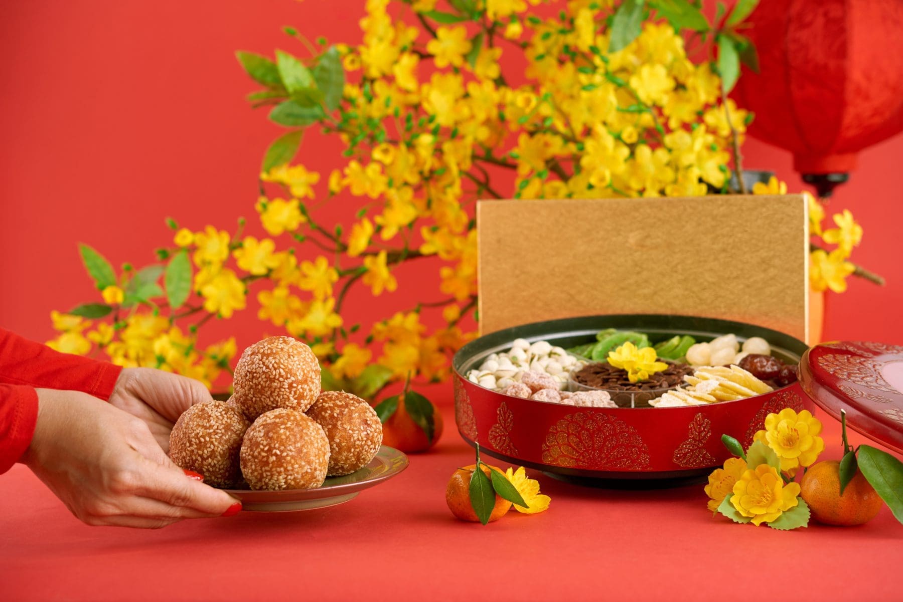 Tết 2026: Vietnamese Lunar New Year - Travel Begins at 40