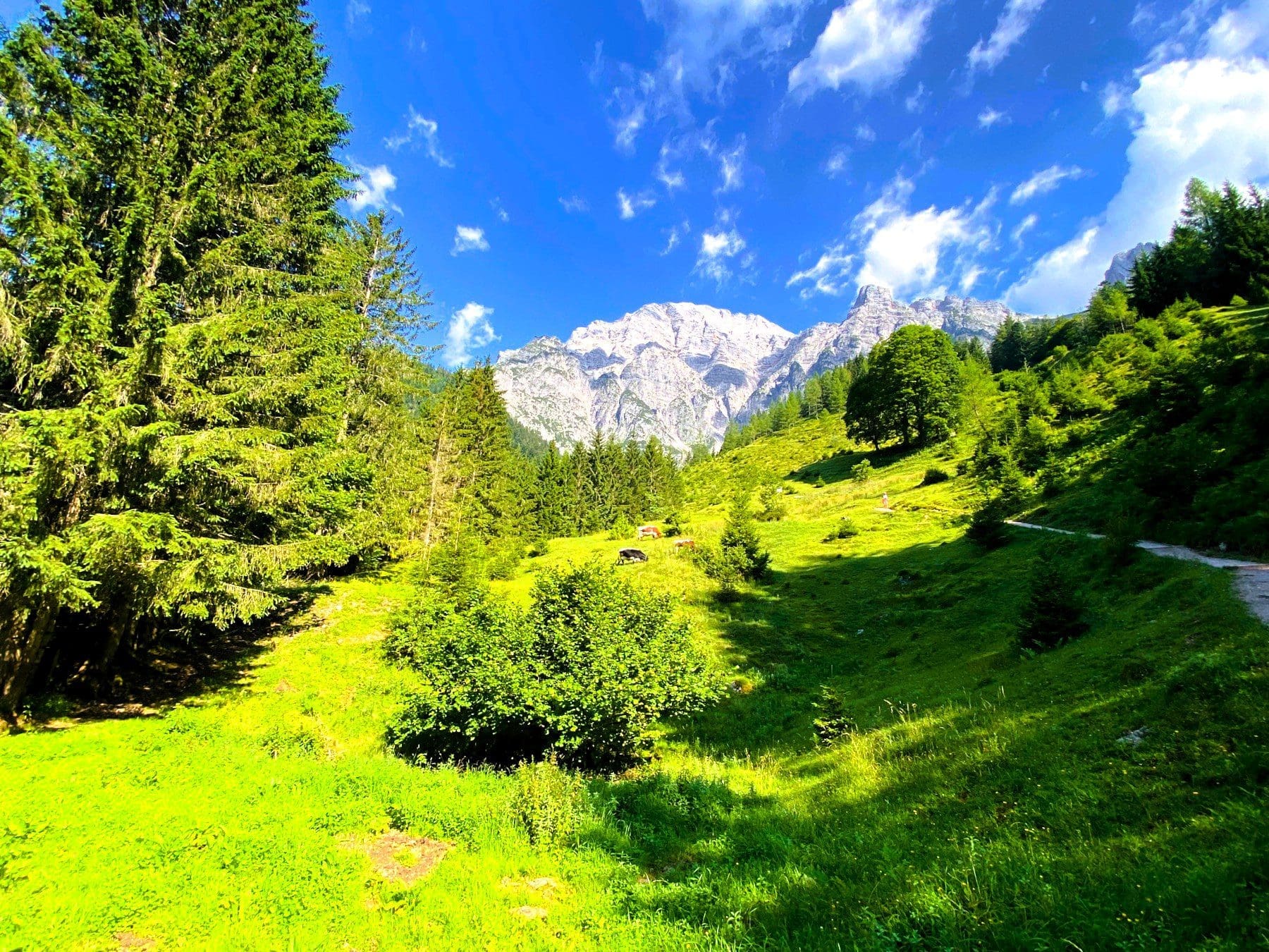 Local Tourism in the Saalfelden Leogang, Austria - Travel Begins at 40