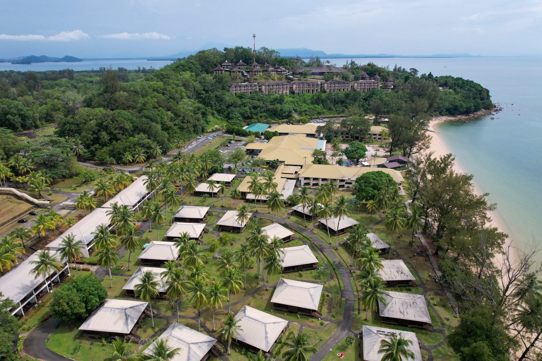 Welcome to a Musically Enchanted Rainforest in Borneo - Travel Begins at 40