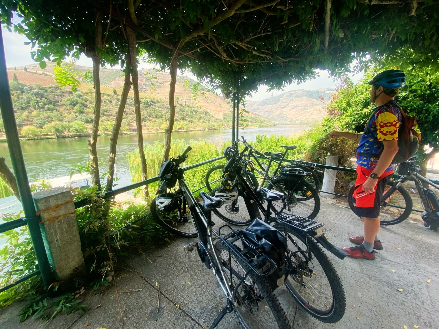 Take Me to the River: E-Biking in the Douro Valley - Travel Begins at 40