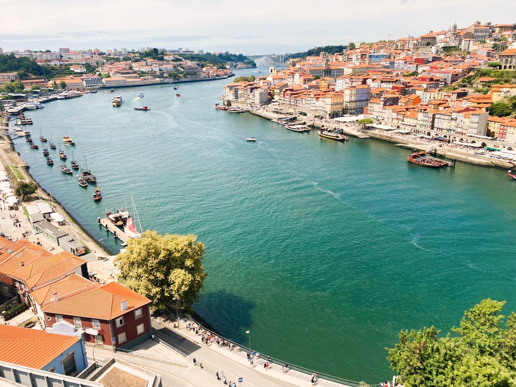 Take Me to the River: E-Biking in the Douro Valley - Travel Begins at 40