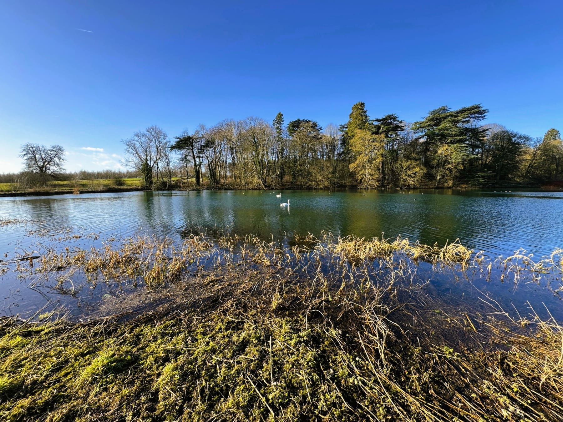 The Barnsdale : Country Escape in Hidden England - Travel Begins at 40