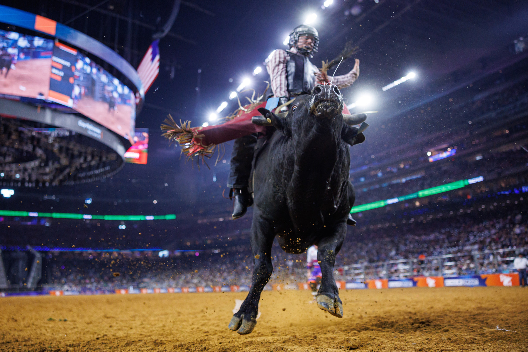Houston Livestock Show and Rodeo 2026 Texas - Travel Begins at 40