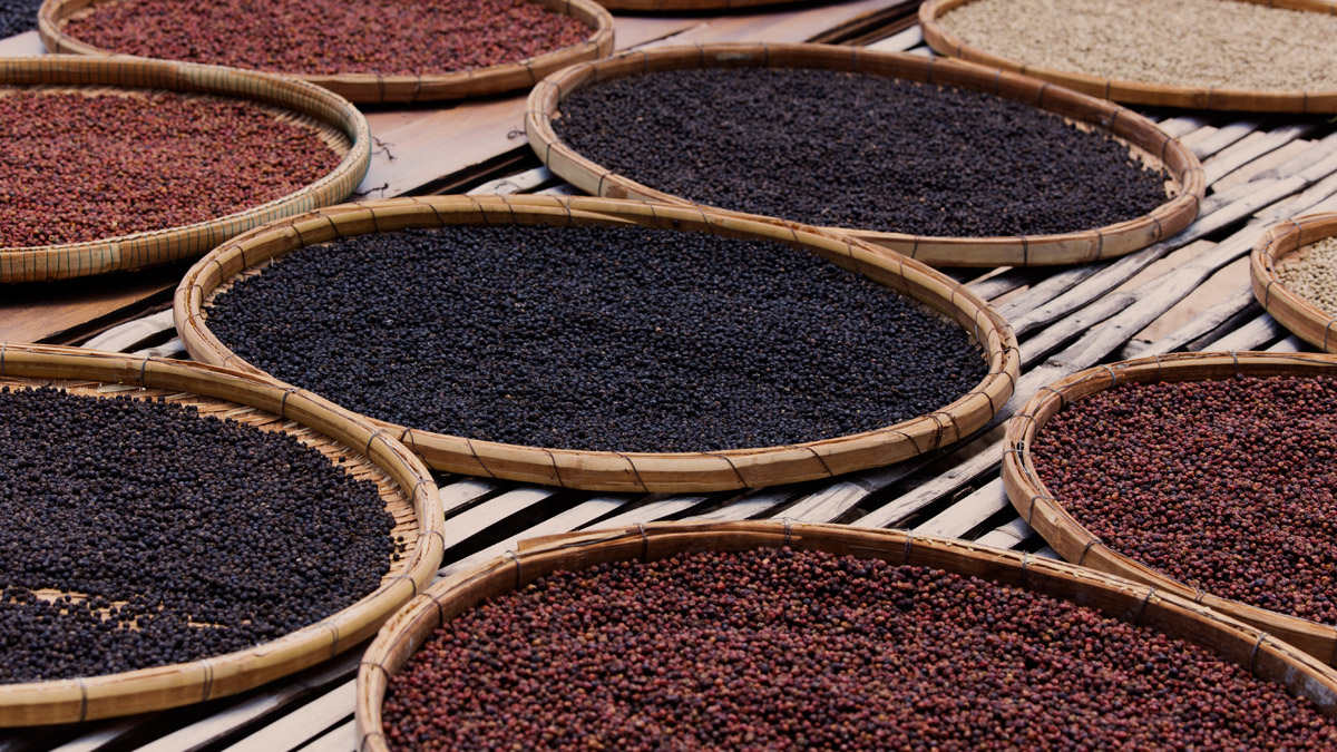 Kampot Pepper: Discovering Cambodia's Treasured Spice - Travel Begins at 40